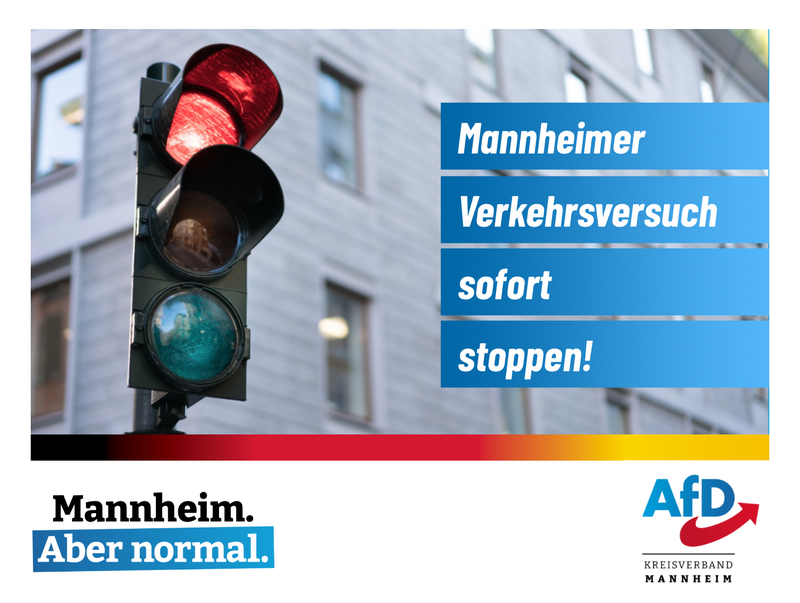 AfD Baden-Württemberg Kreisverband Mannheim